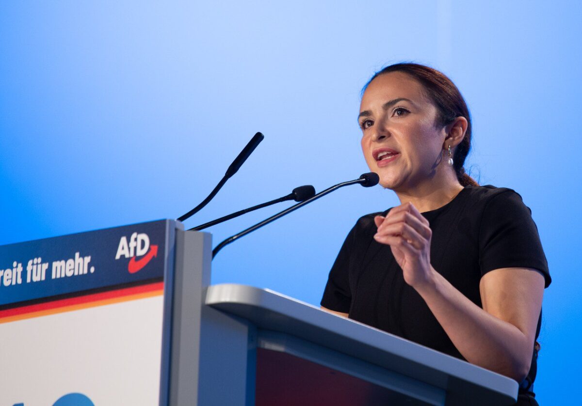 Listenplätze Europawahl - Alternative für Deutschland